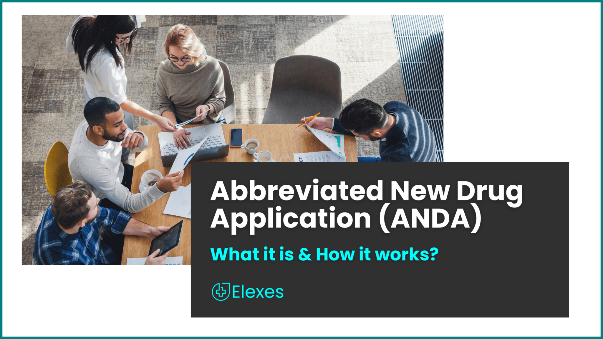 What is ANDA & How it Works? The Complete Guide on