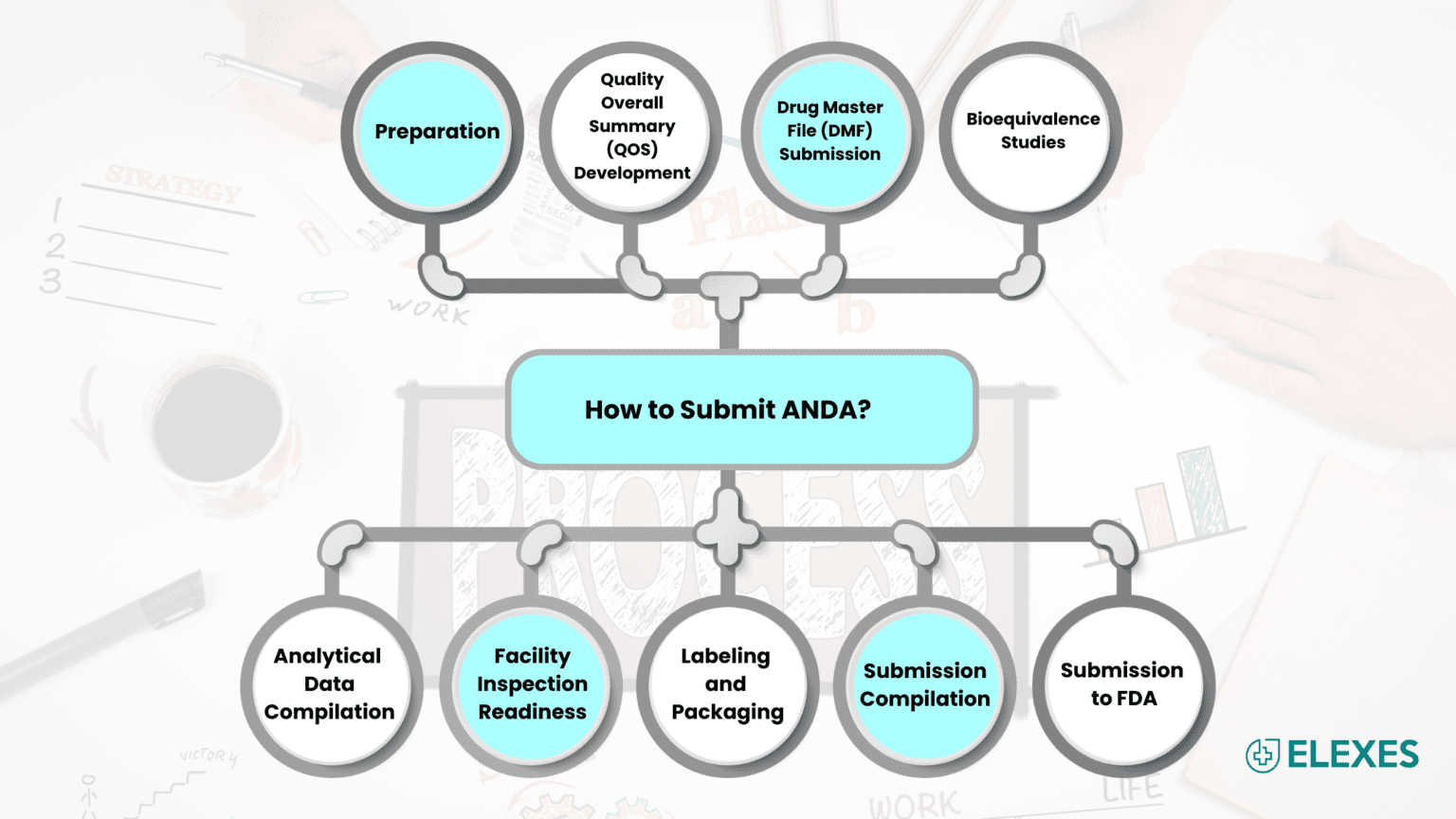What is ANDA & How it Works? The Complete Guide on