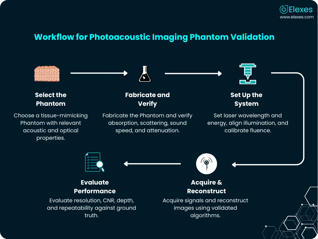 Why Phantoms Are Used Extensively in Validation Studies